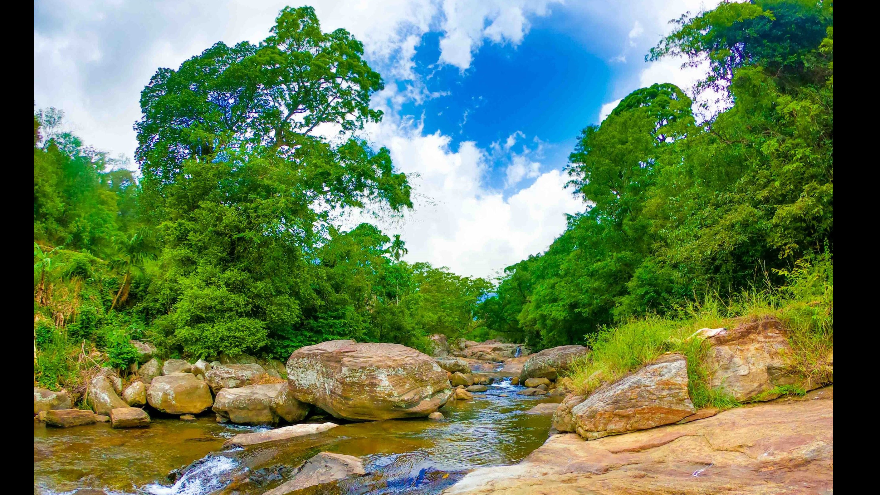 නිවාඩු Deals | Activities