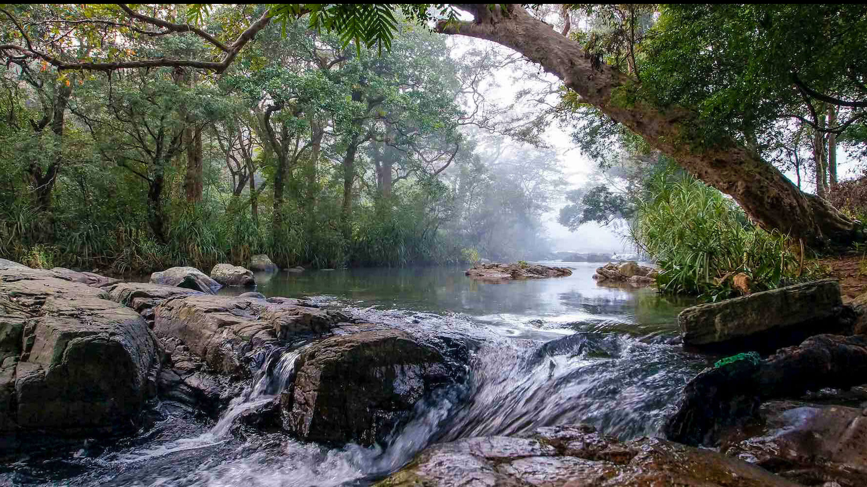 Niwadu Deals | Destinations