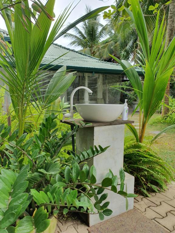 Lohas Beach Resort Villa - Hotels in Kalutara
