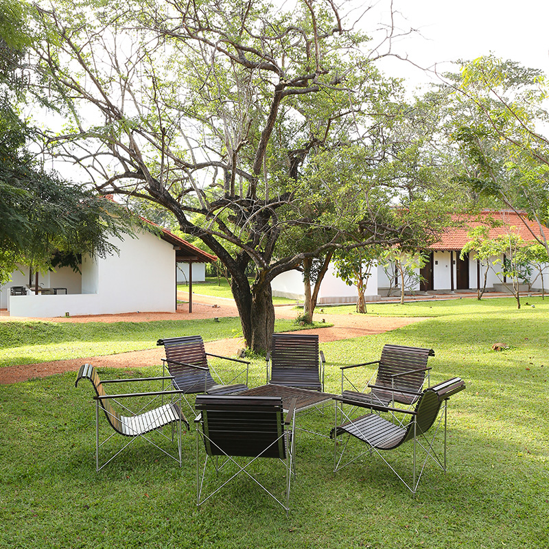 Sigiriya Jungle - Hotels in Sigiriya