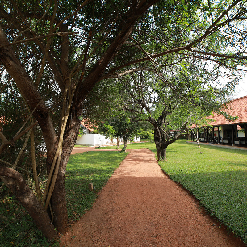 Sigiriya Jungle - Hotels in Sigiriya